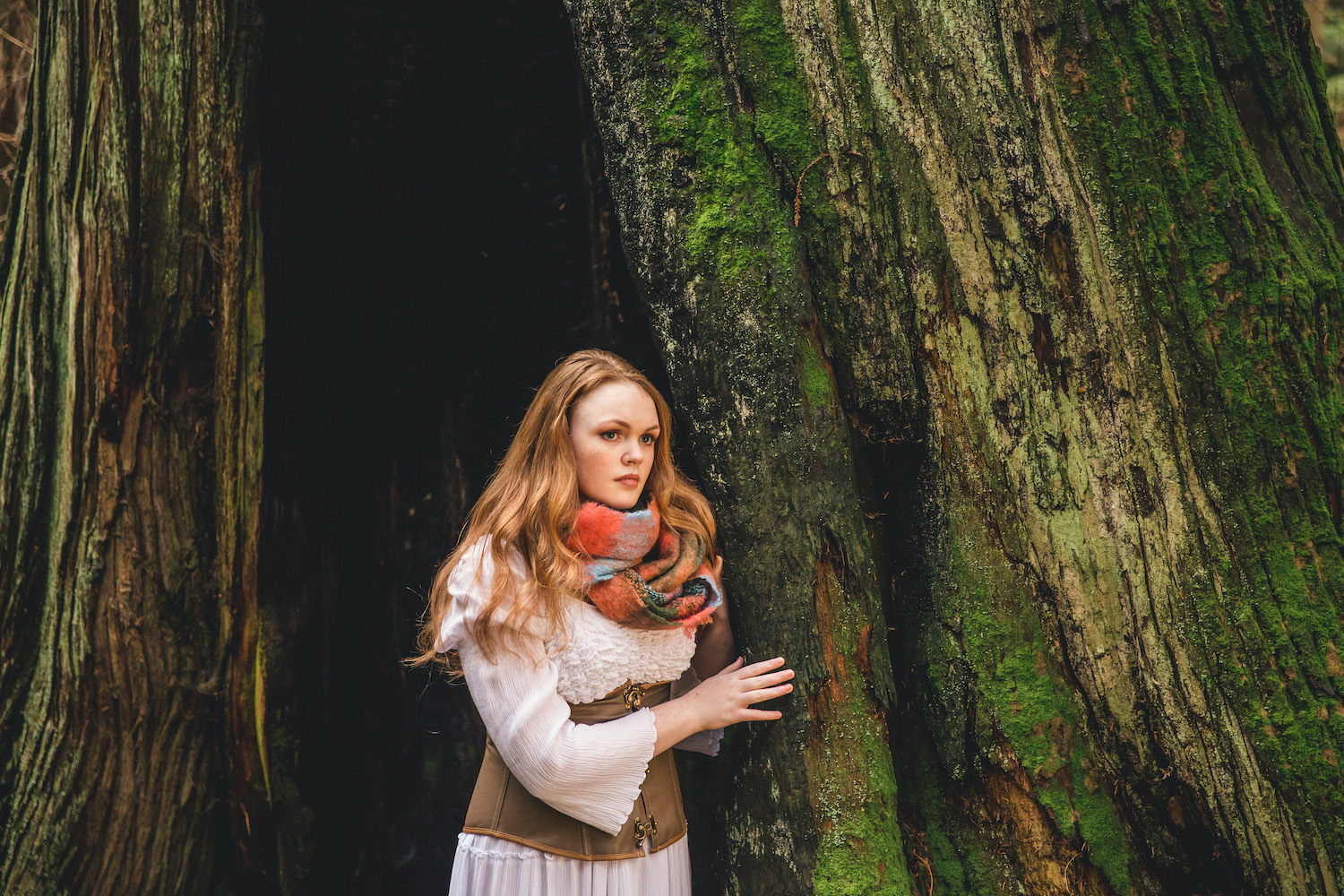 Hartman Outdoor Photography – Asheville Wedding Photographer – Boone ...